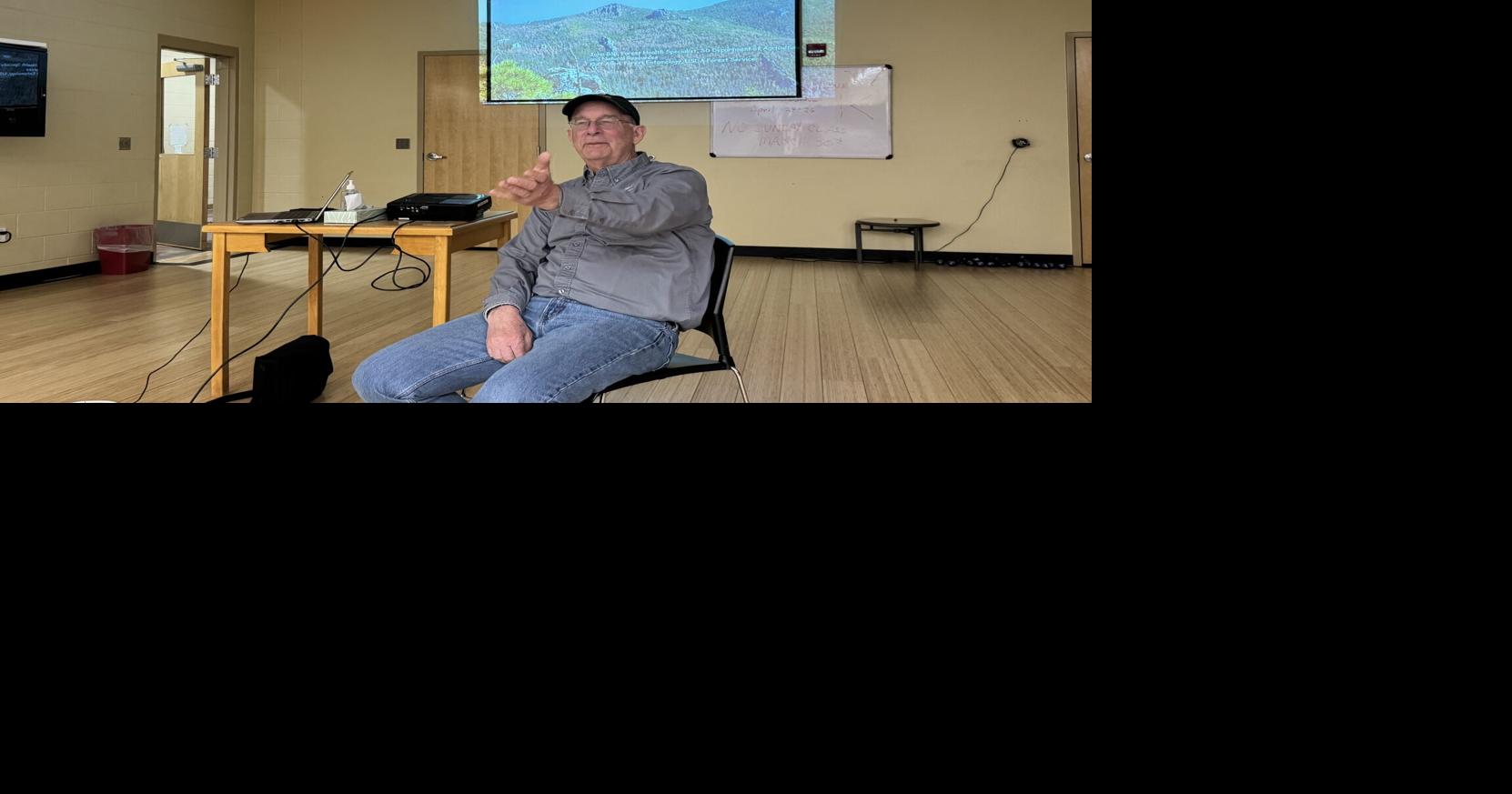 Don’t wait to battle beetles Forest experts warn, now is the time to ...