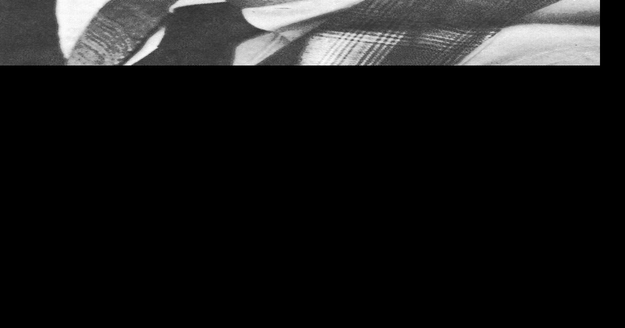 James P. Leonard, 84 | Obituaries | bhpioneer.com