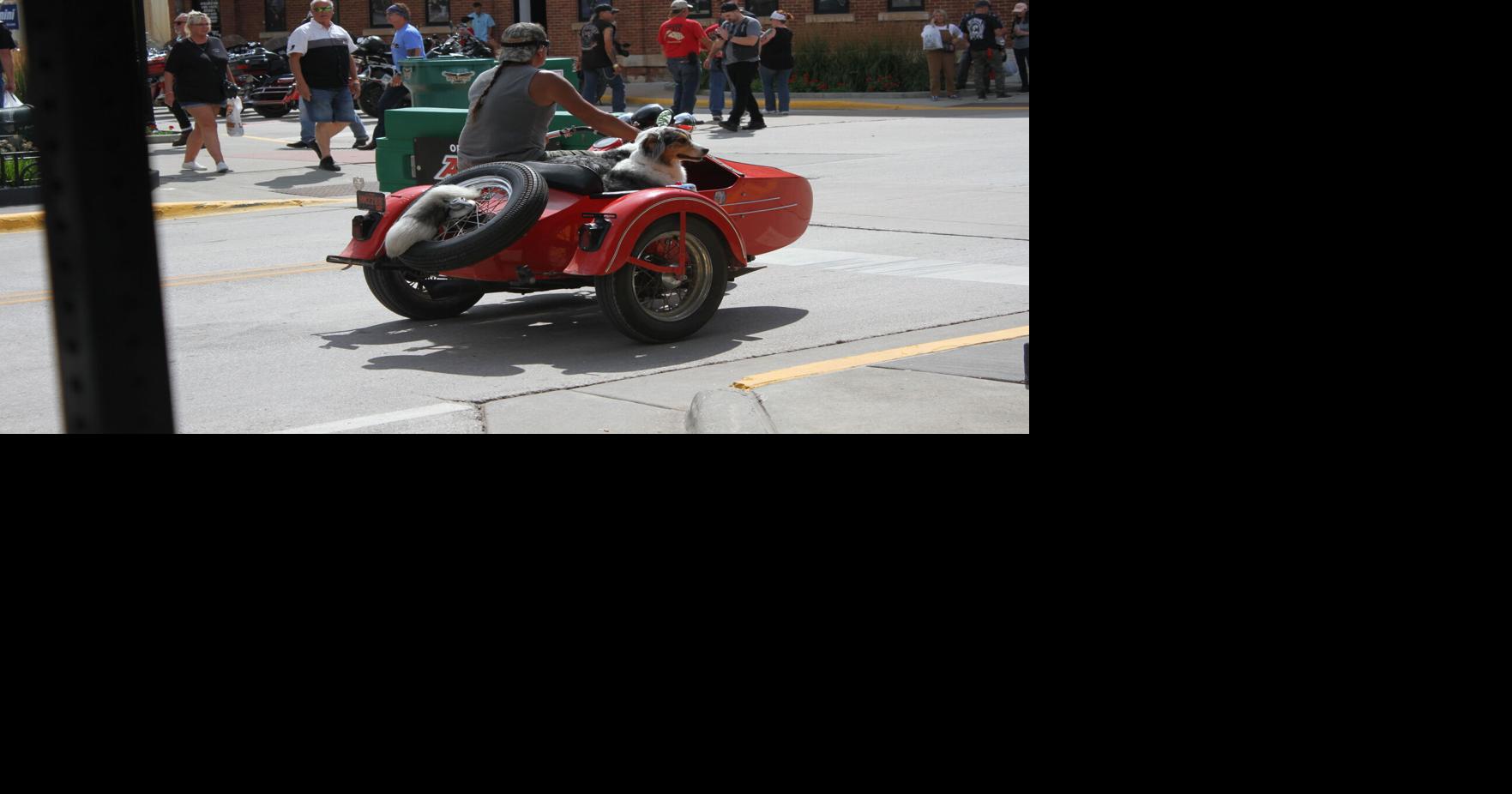 Rally goes to the dogs | Local News | bhpioneer.com