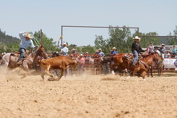 SD riders qualify for national rodeo | Local Sports | bhpioneer.com