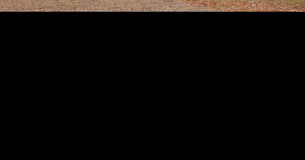 Rocket ship slide deficiencies outlined | Local News | bhpioneer.com