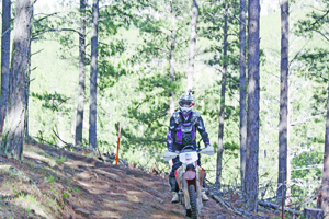 Volunteers, Forest Service open closed trails | Local News | bhpioneer.com