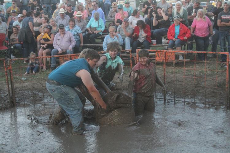 Pig wrestling highlights Wednesday at fair | Local Sports | bhpioneer.com