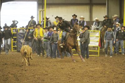 BHSU Rodeo to host Yellow Jacket Stampede | Local Sports | bhpioneer.com