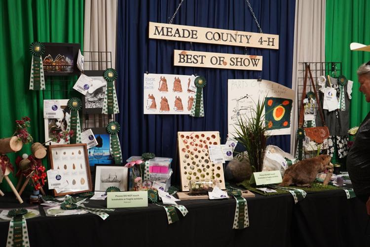 Meade County Fair and 4-H Achievement Days celebrate record ...