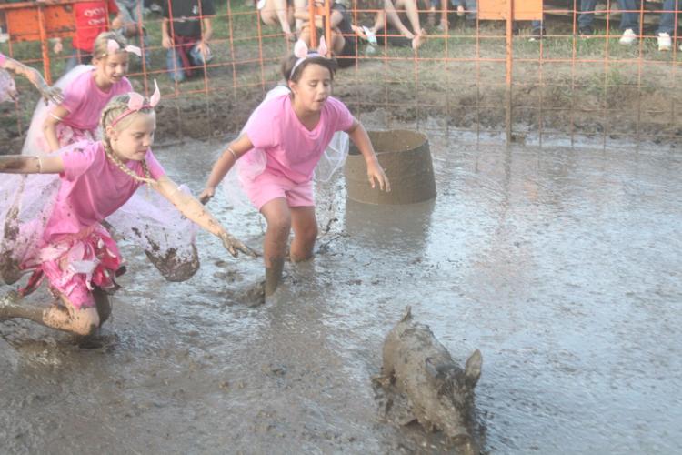 Pig wrestling highlights Wednesday at fair | Local Sports | bhpioneer.com