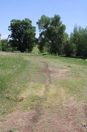 Creekside nature area donation dies for lack of action | Local News ...