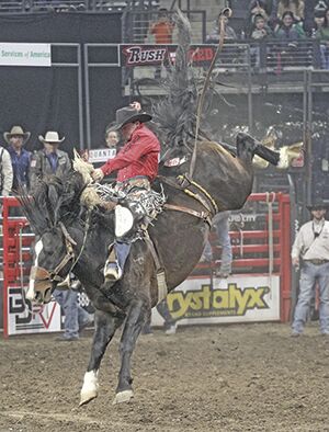 Brody Wells takes home Xtreme Broncs title | Sports | bhpioneer.com