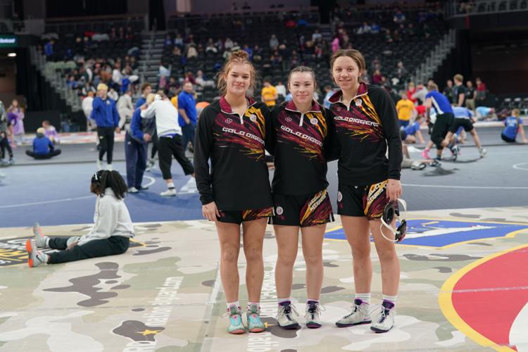 Area wrestlers shine in opening round of state tourney | Local Sports ...
