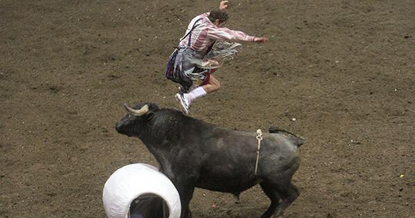 Freestyle bullfighting entertains fans at BH Stock Show Rodeo | Local ...