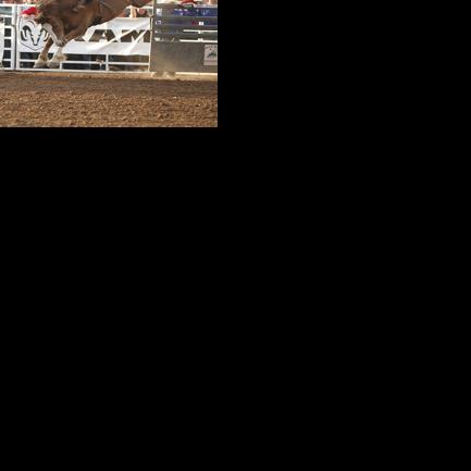BH Roundup wins PRCA Medium Rodeo of Year Award; Rapid City wins the ...