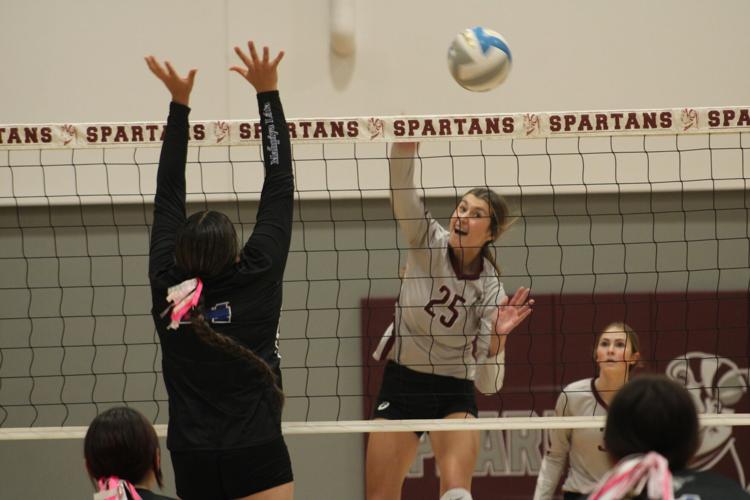 Spartan volleyball wins extends win streak to 17 | Local Sports ...