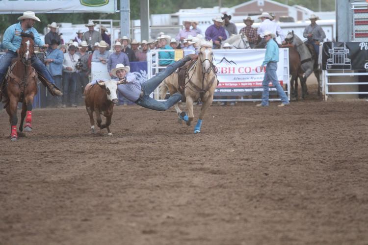 BH Roundup hosts 1st PRCA performance | Local Sports | bhpioneer.com