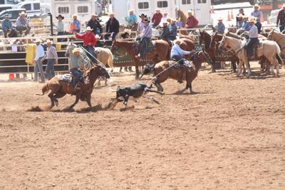 Twice the fun at Days of ‘76 rodeo | Local Sports | bhpioneer.com