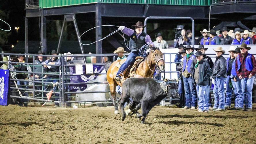 BHSU rodeo preparing for Will Lantis Yellow Jacket Stampede | Local ...