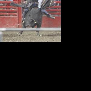 Cole Hould captures Xtreme Bulls title | Sports | bhpioneer.com