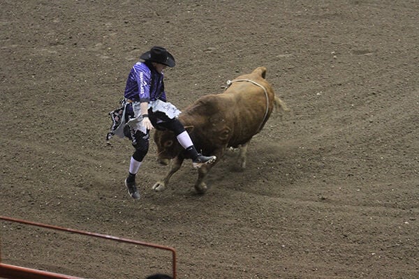 Freestyle bullfighting entertains fans at BH Stock Show Rodeo | Local ...