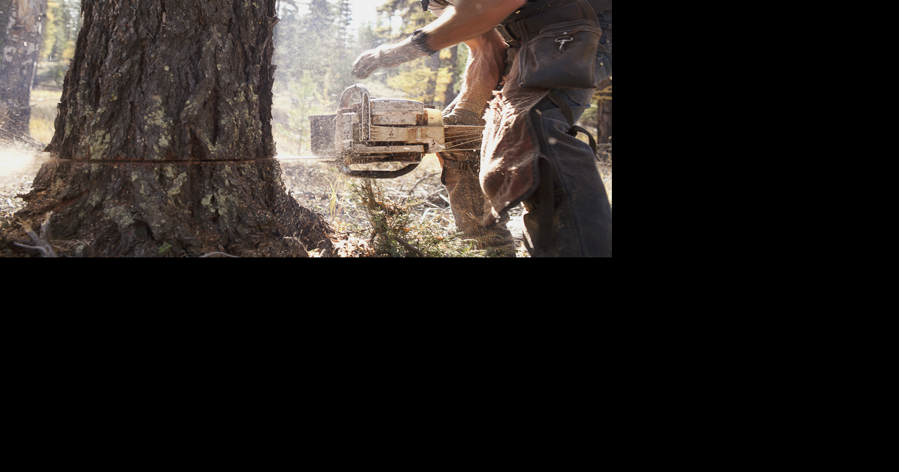 Inaugural Lumber Jack Day at Nemo Ranch invites firefighters to compete ...
