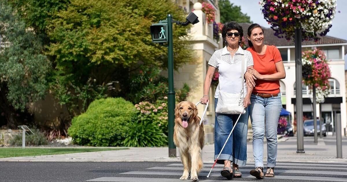 Faulty Genes Don't Always Lead To Vision Loss, Blindness | Health ...