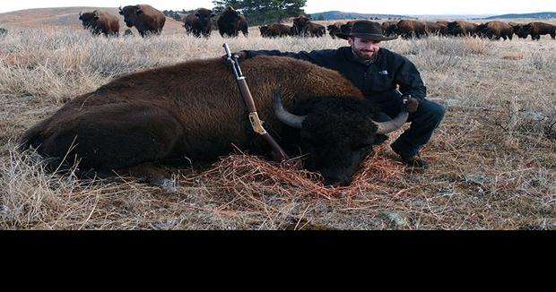 An American buffalo hunt | Local News | bhpioneer.com