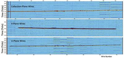 ProtoDUNE proves out at CERN | Local News | bhpioneer.com