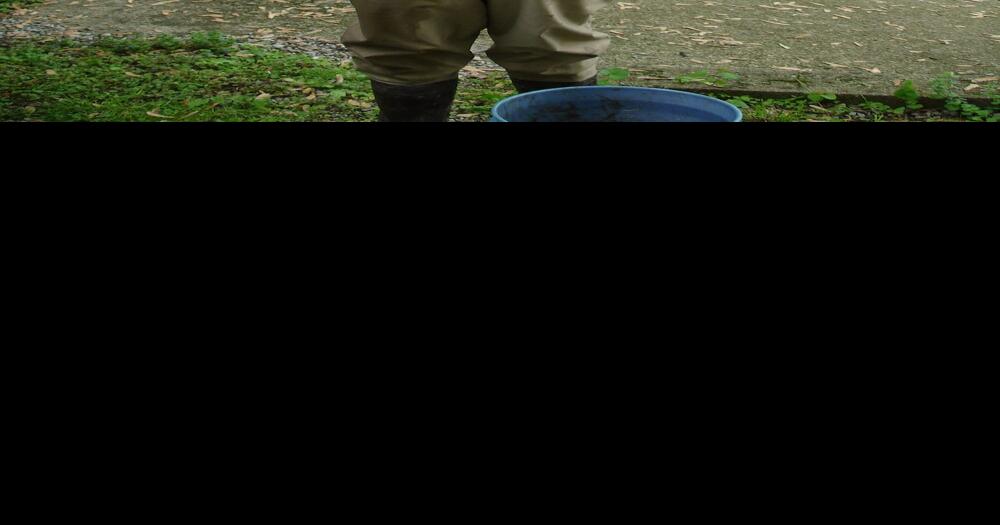 Invasive carp continue to be an ongoing threat to South Dakota’s waters ...