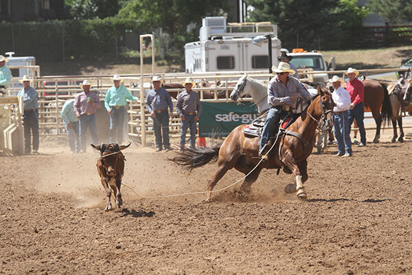 Jess Tierney wins Badlands Circuit average title | Local Sports ...