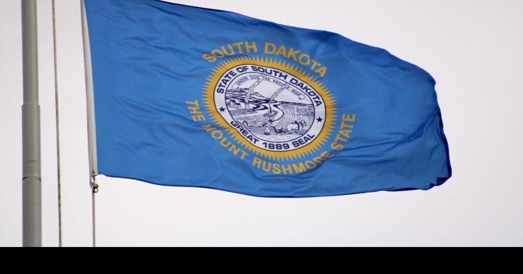 ‘Let it speak for us’: Legislator plans to pursue SD flag redesign ...