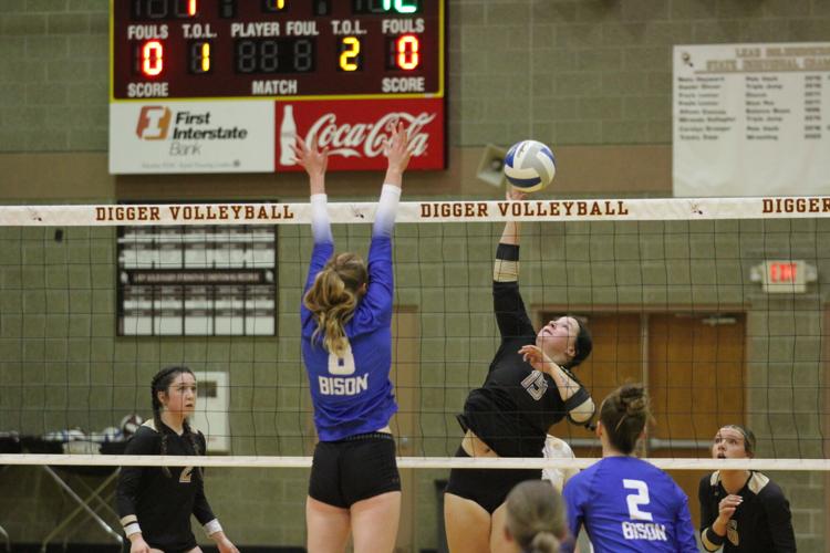 Diggers volleyball falls to Bison | Local Sports | bhpioneer.com