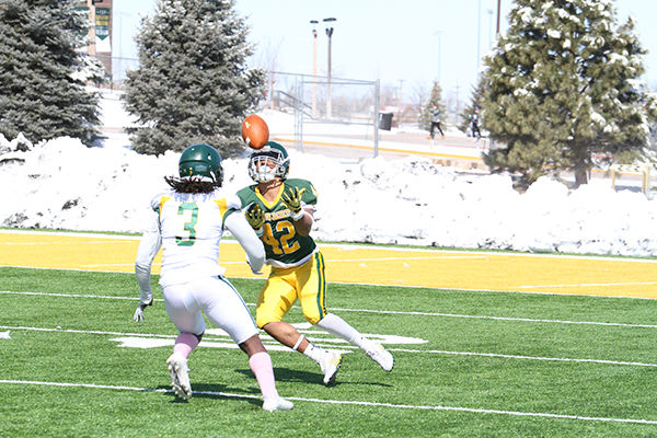BHSU hosts spring football game | Local Sports | bhpioneer.com