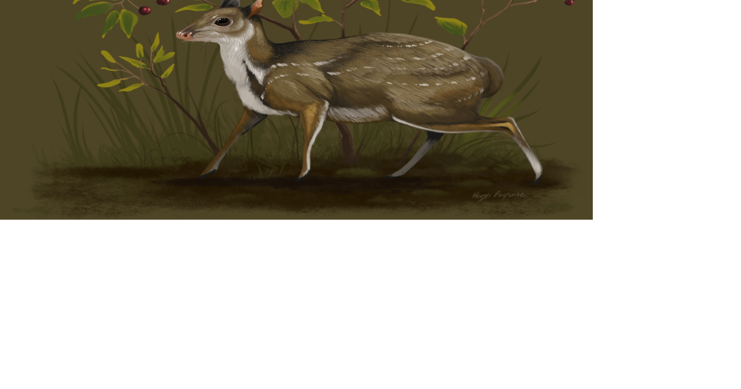 Fossil researchers discover new genus of deer at Badlands National Park ...