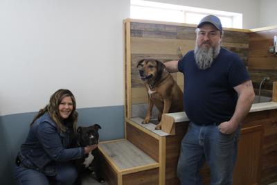 There’s a new place to get pets spic-and-span in Spearfish | Local News ...