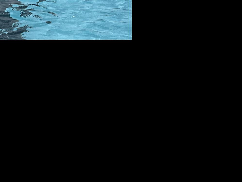 Black Hills Gold swim team excels in Pierre | Local Sports | bhpioneer.com