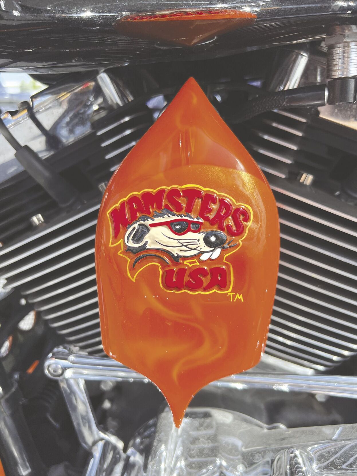 Hamsters USA raise over $400K for local charities | Local News ...