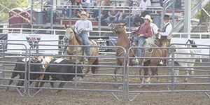 Ranch rodeo caps BH Roundup's first day | Local Sports | bhpioneer.com
