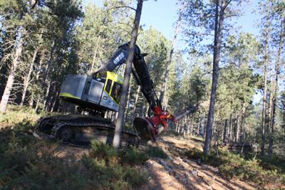 Timber Harvest Restoration Act would require more timber harvests in ...