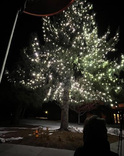 Tree of Lights honor those who passed on | News | bigbeargrizzly.net