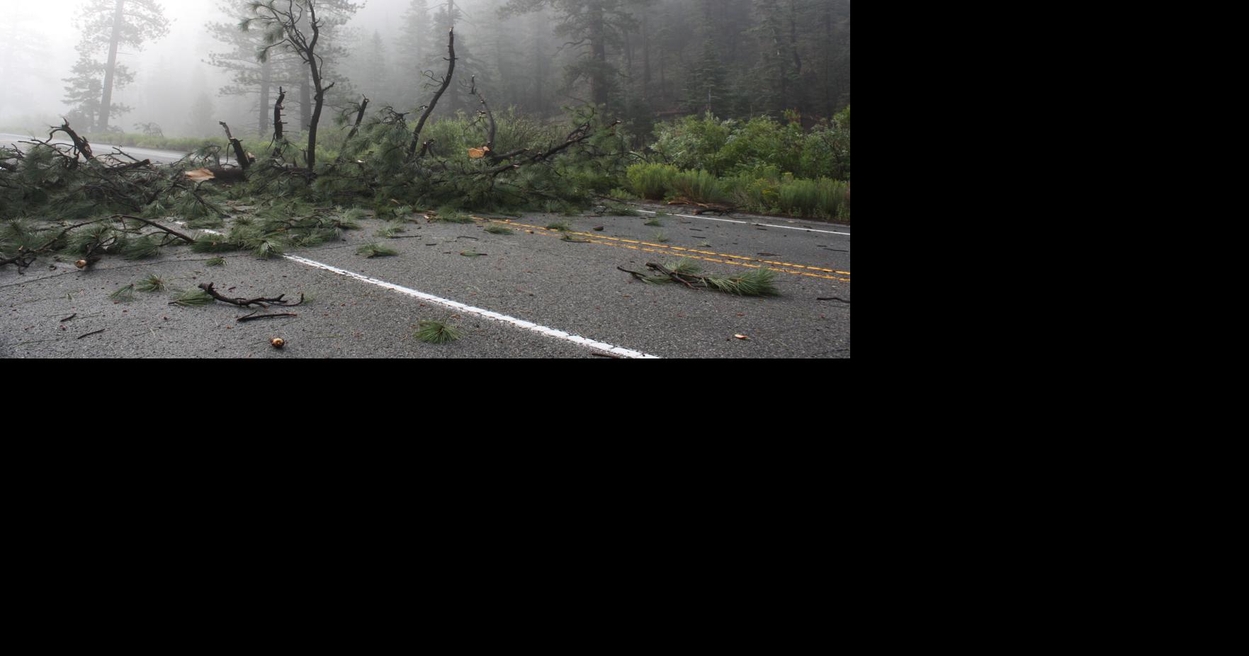 Downed trees from flash flooding became a problem along SR-38 ...