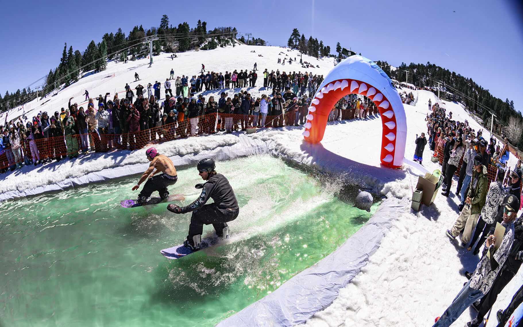 bigbeargrizzly.net | Big Bear Grizzly