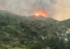 Line Fire Update: Northeast growth expected | News | bigbeargrizzly.net