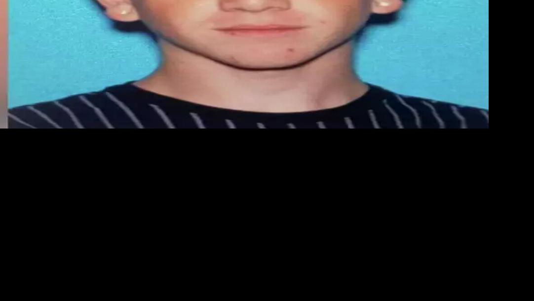 News | bigbeargrizzly.net