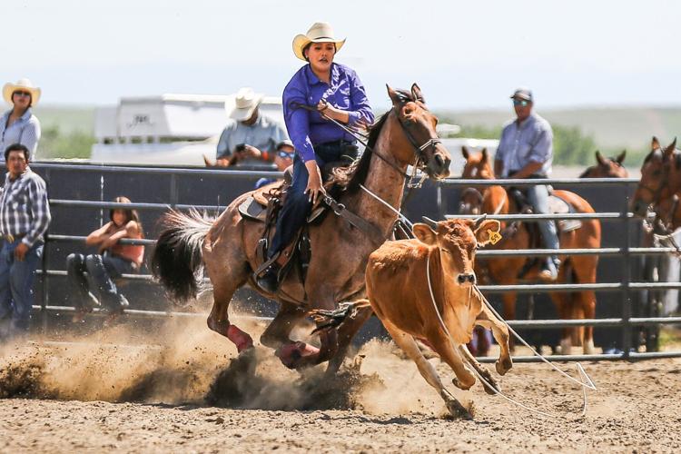 Crow Native Days: Rodeo, Battle of Little Big Horn, Powwow! | News ...