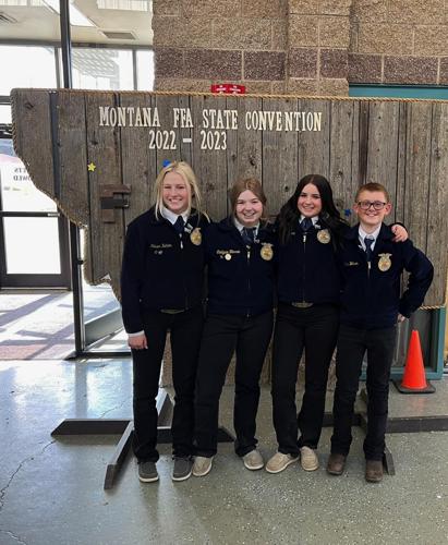Montana FFA rescores horse evaluation | | bighorncountynews.com