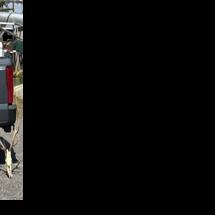 Three men charged in poaching case near Hardin | News ...