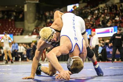 Wells brings home a state title for Bulldogs | Sports ...