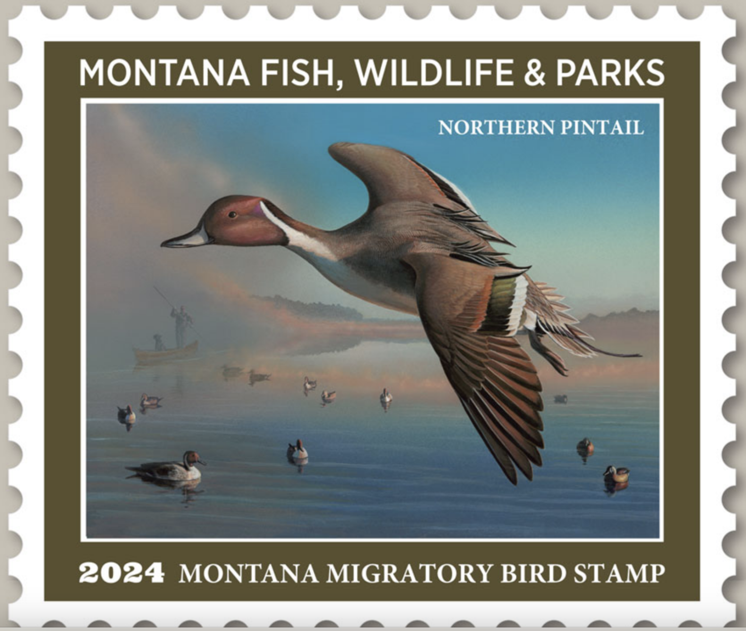 2024 Migratory Bird Stamp unveiled in ceremony at Capitol | News ...