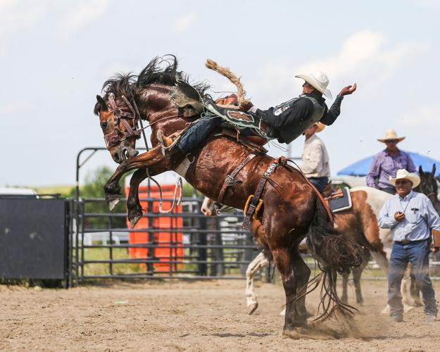 Crow Native Days: Rodeo, Battle of Little Big Horn, Powwow! | News ...