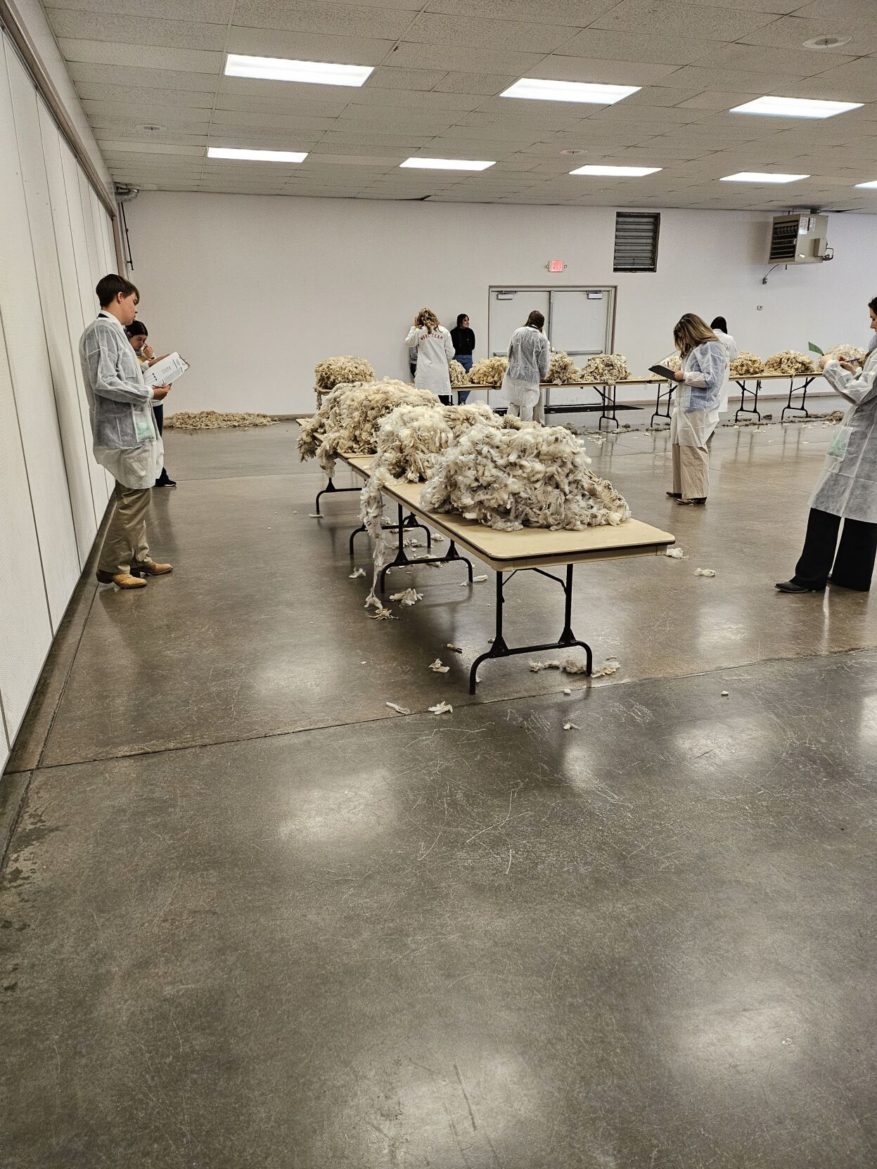 Trevor Halverson wins 7220 Wool Judging Invitational | News ...