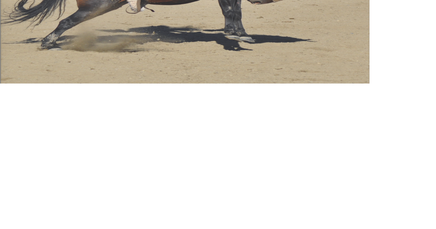 Fair board not responsible for nixed rodeo, officials say | News ...