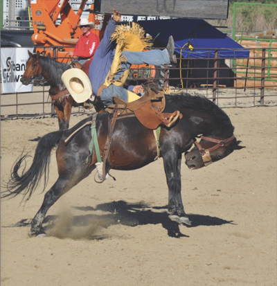 Fair board not responsible for nixed rodeo, officials say | News ...